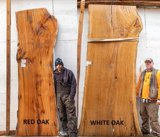 Red Oak vs. White Oak - Working with Live Edge Wood