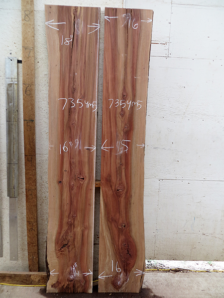 Beefwood live edge wood slab, item# 7354m05