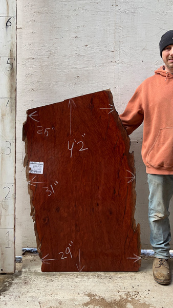 Red Gum, Australian live edge wood slab, item# 8374x01